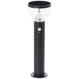 Brilliant LED Sockelleuchte &raquo;Tulip&laquo; 1 Stk. Warmwei&szlig; LED Au&szlig;enleuchte, Solar, 52 cm, 430 lm, 3000 K, Edelstahl, schwarz schwarz &Oslash; 16cm H: 52cm, 1 Stk.