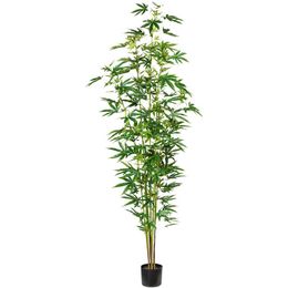 Creativ green K&uuml;nstliche Zimmerpflanze &raquo;Zierhanfpflanze&laquo; gr&uuml;n Obermaterial: 60% Polyester, 40% Polyethylen B/H/L: 210cm, 1 Stk.