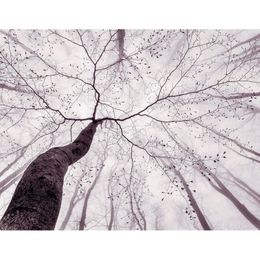 Livingwalls living walls Fototapete &raquo;Tree Top&laquo; Motiv abstrakt naturalistisch glatt Nebel Wald Tapete Natur Fototapete Wohnzimmer Tapeten Design Optik grau Vlies B