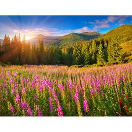 papermoon Fototapete &raquo;Herbstlandschaft&laquo; bunt Vlies B/L: 3m x 2,23m, Bahnen: 6 Stk.