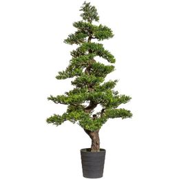 Creativ green Kunstbonsai &raquo;Bonsai Teeblatt&laquo; gr&uuml;n Kunststoff &Oslash;/H: 65cm x 160cm, 1 Stk.