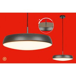 Briloner Leuchten LED Pendelleuchte &raquo;NALA&laquo; LED-Modul 1 Stk. 35x120 cm, Esszimmer, Esstisch, Wohnzimmer, Schlafzimmer grau 1, &Oslash; 35cm H: 120cm, 1 Stk.
