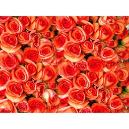 papermoon Fototapete &raquo;Orange Roses&laquo; glatt bunt Vlies B/L: 3m x 2,23m, Bahnen: 6 Stk.