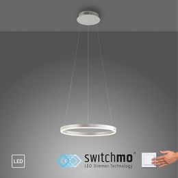 JUST LIGHT Pendelleuchte &raquo;RITUS&laquo; LED-Board 1 Stk. Warmwei&szlig; LED, dimmbar, Switchmo grau 1, &Oslash; 3,9cm, 1 Stk.