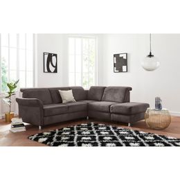 Sit & More sit&more Ecksofa &raquo;Darwin L-Form&laquo; inklusive Federkern, wahlweise mit Kopfteilverstellung, Schlaffunktion braun B/H/T: 249cm x 83cm x 221cm, Luxus-