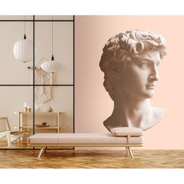 Livingwalls living walls Vliestapete &raquo;Fototapete David-B&uuml;ste Klassisch Beige Rosa Antik&laquo; matt glatt beige Vlies B/L: 2,7m x 4m, Rollen: 1