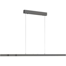 Paul Neuhaus LED Pendelleuchte &raquo;ADRIANA Comfort Lift&laquo; LED-Board 1 Stk. warmwei&szlig; - kaltwei&szlig; Touchdimmer, CCT 2700-5000K, Comfort-Lift, Memory, Verstellbar grau 3, H