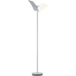 HELL h&ouml;llisch gutes Licht LED Stehlampe &raquo;TWICE&laquo; LED-Modul 1 Stk. warmwei&szlig; - kaltwei&szlig; Tastdimmer, CCT silber 2, H: 185cm, 1 Stk.