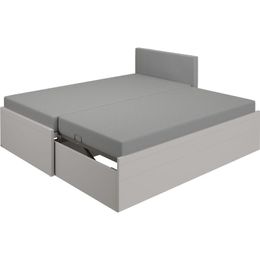 Paidi Jugendbett &raquo;FLYNN in verschiedenen Ausf&uuml;hrungen, Ausziehbett mit 2 Liegefl&auml;chen&laquo; G&auml;stebett, Metallgestell inkl. Lattenroste, 2-in-1 