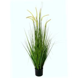 I.GE.A. Kunstgras &raquo;Fuchsschwanzgras&laquo; im Kunststofftopf gr&uuml;n Obermaterial: 95% Kunststoff, 5% Polyester B/H/L: 33cm x 120cm, 1 Stk.