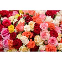 papermoon Fototapete &raquo;Roses&laquo; glatt bunt Vlies B/L: 5m x 2,8m, Bahnen: 10 Stk.