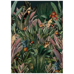 SUPERFRESCO EASY Fototapete &raquo;Aaliyah&laquo; botanisch glatt 280x200 cm gr&uuml;n Vlies B/L: 2m x 2,8m