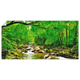 Artland Wandbild &raquo;Herbstwald Fluss Smolny&laquo; Wald 1 Stk. tlg. als Leinwandbild, Poster in verschied. Gr&ouml;&szlig;en gr&uuml;n B/H/T: 60cm x 30cm, Poster Wald Querformat, 1 