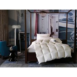 Billerbeck Daunenbettdecke &raquo;E14 Greta, Bettdecke in 135x200 cm, 155x220 cm, Sommer, Winter&laquo; normal F&uuml;llung 90% Entendaune, 10% Entenfeder 1 Stk. tlg. 
