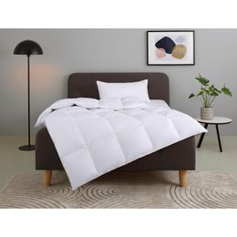 OTTO home G&auml;nsedaunenbettdecke + Kopfkissen &raquo;Litrone Bettdecke 135x200 cm, 155 x220 cm&laquo; Set mit Kissen 40x80 cm, 80x80 cm, Fr&uuml;hling, Sommer, Herbst, 