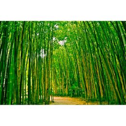 papermoon Fototapete &raquo;Bamboo Forest&laquo; glatt bunt Vlies B/L: 1,5m x 1,11m, Bahnen: 7 Stk.