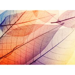 Livingwalls living walls Fototapete &raquo;Designwalls Limpid Leaf 1&laquo; glatt Vlies, Wand, Schr&auml;ge, Decke bunt Vlies B/L: 3,5m x 2,55m