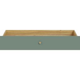 FORTE Bettschubkasten gr&uuml;n Holzwerkstoff B/H/T: 102,1cm x 18,9cm x 53cm
