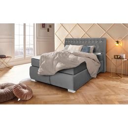 LEONIQUE Boxspringbett &raquo;Rumba&laquo; Taschenfederkern-Matratze in H&auml;rtegrad 3, in 4 Breiten, incl. Topper grau Samtoptik (100% Polyester) Liegefl&auml;che B/L: 140cm x 