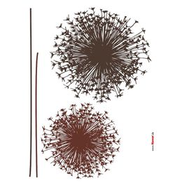 Komar Wandtattoo &raquo;Pusteblume - Gr&ouml;&szlig;e 50 x 70 cm&laquo; selbstklebend, Wandsticker braun Folie B/H/T: 50cm x 70cm, Pusteblume