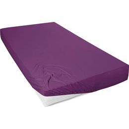 Primera Spannbettlaken &raquo;Mako-Feinjersey Spannbetttuch&laquo; Geeignet f&uuml;r Standardmatratzen bis 22 cm, 100% Baumwolle lila Mako-Jersey, Obermaterial: 100% Baumwolle