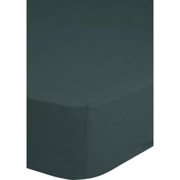 Good Morning Spannbettlaken &raquo;Jersey Spannbettlaken&laquo; 100% Baumwolle, Jersey, Rundumgummi, bis 25 cm h&ouml;he, 90/100x200, Wei&szlig; gr&uuml;n Jersey, Obermaterial: 