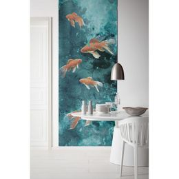 Komar Fototapete &raquo;Vlies Fototapete - Fische - Gr&ouml;&szlig;e 100 x 250 cm&laquo; Motiv bedruckt glatt blau Vlies B/L: 1m, Rollen: 1