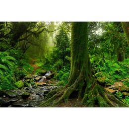 papermoon Fototapete &raquo;Tropischer Jubgle Stream&laquo; bunt Vlies B/L: 3m x 2,23m, Bahnen: 6 Stk.