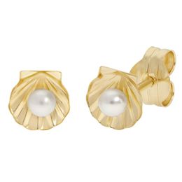 Firetti Damen Paar Ohrstecker &raquo;Schmuck Geschenk Gold 375 Ohrschmuck Ohrringe Muschel&laquo; mit S&uuml;&szlig;wasserzuchtperle gold 2,9mm, Gelbgold 375 Perlen