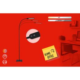 Briloner Leuchten LED Stehlampe &raquo;SERVO&laquo; schwarz Einheitsgr&ouml;&szlig;e