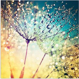 Artland Wandbild &raquo;Pusteblume Zaubertropfen&laquo; Blumen 1 Stk. tlg. als Alubild, Leinwandbild, Poster in verschied. Gr&ouml;&szlig;en bunt B/H/T: 50cm x 50cm, Alu-Dibond-