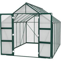 Vitavia Gew&auml;chshaus &raquo;Domus 9900&laquo; mit Doppelschwingt&uuml;ren und bodentiefer T&uuml;rschwelle, 6 mm Hohlkammer gr&uuml;n B/H/T: 257cm x 253,9cm x 387cm