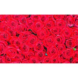 Livingwalls living walls Fototapete &raquo;rote Rosen&laquo; glatt Vlies, Wand, Schr&auml;ge bunt Vlies B/L: 4m x 2,5m