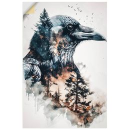 Artland Wandbild &raquo;Rabe&laquo; Vogelbilder 1 Stk. tlg. als Alubild, Leinwandbild, Poster, Wandaufkleber in verschied. Gr&ouml;&szlig;en bunt Vinyl B/H/T: 20cm x 30cm, 