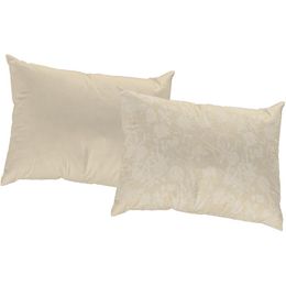 Adam Dekokissen &raquo;Flower Cuve&eacute;&laquo; mit Blumenmuster, Wendekissenh&uuml;lle ohne F&uuml;llung, 1 St&uuml;ck beige Baumwolle B/L: 60cm x 40cm, 1 Stk.