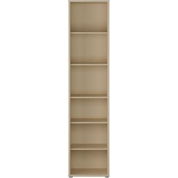 FORTE Mehrzweckregal &raquo;Alice Springs&laquo; diverse H&ouml;hen, Breiten, Dekore, Einlegeb&ouml;den variabel beige Holzwerkstoff B/H/T: 49,8cm x 214,3cm x 34,9cm, 6 Stk