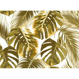 Livingwalls living walls Fototapete &raquo;Designwalls Palm Leaves 2&laquo; glatt Vlies, Wand, Schr&auml;ge, Decke braun Vlies B/L: 3,5m x 2,55m