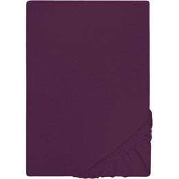 Spannbettlaken &raquo;Jersey in Gr. 90x200, 140x200 oder 180x200 cm&laquo; aus Baumwolle, f&uuml;r Matratzen bis 22 cm H&ouml;he, Bettlaken, Spannbetttuch lila Jersey, 
