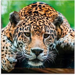 Artland Glasbild &raquo;S&uuml;damerikanischer Jaguar&laquo; Wildtiere 1 Stk. tlg. in verschiedenen Gr&ouml;&szlig;en braun B/H/T: 40cm x 40cm, Glasbild Wildtiere, 1 Stk.