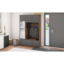 borchardt M&ouml;bel borchardt M&ouml;bel Garderobenschrank &raquo;Kompakta&laquo; H&ouml;he 202 cm grau Holzwerkstoff vintage eiche, B/H/T: 140cm x 202cm x 36cm, T&uuml;ren: 6 Stk.