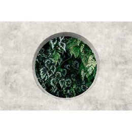 Livingwalls living walls Fototapete &raquo;Walls by Patel Deep Green&laquo; glatt Vlies, Wand gr&uuml;n Vlies B/L: 4m x 2,7m