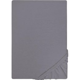 Biberna Spannbettlaken &raquo;Leila&laquo; Bettlaken aus 100% Baumwolle, f&uuml;r Matratzenh&ouml;hen bis 22 cm silber Jersey, Obermaterial: 100% Baumwolle B/L: 200cm, 1 Stk., 
