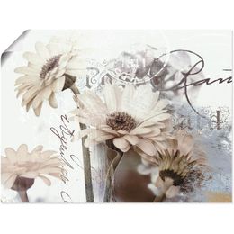Artland Wandbild &raquo;Gerberas_Detail&laquo; Blumenbilder 1 Stk. tlg. als Leinwandbild, Poster in verschied. Gr&ouml;&szlig;en wei&szlig; B/H/T: 60cm x 45cm, Poster Blumenbilder 