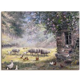 Artland Leinwandbild &raquo;H&uuml;hner und Schafe&laquo; Haustiere 1 Stk. tlg. auf Holzrahmen gespannt gr&uuml;n Leinwand B/H/T: 60cm x 45cm, Leinwandbild Haustiere Querformat, 1 