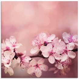 Artland Glasbild &raquo;Kirschbl&uuml;ten&laquo; Blumen 1 Stk. tlg. in verschiedenen Gr&ouml;&szlig;en pink B/H/T: 30cm x 30cm, Glasbild Blumen quadratisch, 1 Stk.