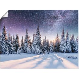 Artland Wandbild &raquo;Tannenwald im Schnee vorm Sternenhimmel&laquo; Berge & Alpenbilder 1 Stk. tlg. als Alubild, Leinwandbild, Poster in verschied. Gr&ouml;&szlig;en blau B/H/T: 