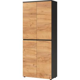 Germania Aktenschrank &raquo;Lissabon&laquo; 1 Stk. tlg. mit verstellbaren Einlegeb&ouml;den und grifflosem Design grau Holzwerkstoff Graphit/Navarra-Eiche-Nb., B/H/T: