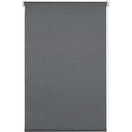 Gardinia Seitenzugrollo &raquo;Uni Klemmrollo&laquo; Lichtschutz Sichtschutz mit Bohren/ohne Bohren freih&auml;ngend Schraubmontage m&ouml;glich grau Polyester 150cm, 