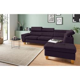 exxpo - sofa fashion Ecksofa &raquo;Enya, hoher Sitzkomfort, Breite 266cm, bequem, 12cm hohe F&uuml;&szlig;e, L-Form&laquo; mit Kopfteilverstellung, wahlweise Bettfunktion u