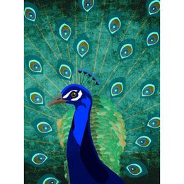 Livingwalls living walls Fototapete &raquo;ARTist Peacock&laquo; Vlies, Wand, Schr&auml;ge blau Vlies B/L: 2m x 2,7m